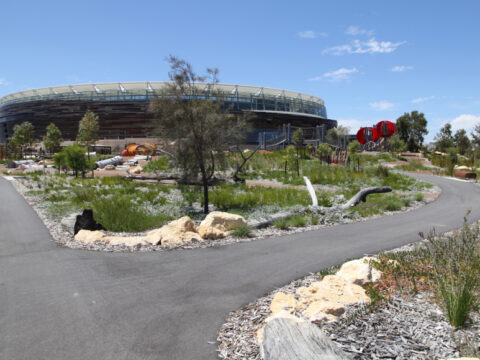Wholesale Plant Nursery - Native WA Plants | Plantrite